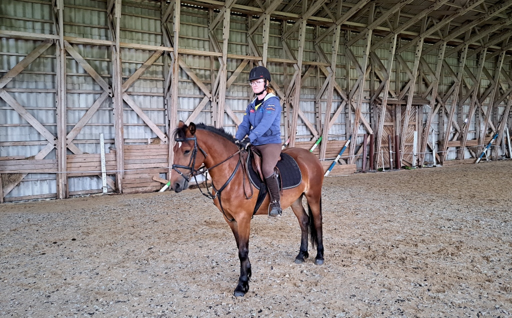 Pidamine ja ratsastus – Voore Tallide eesti tõugu hobused, pulmasõidud ...